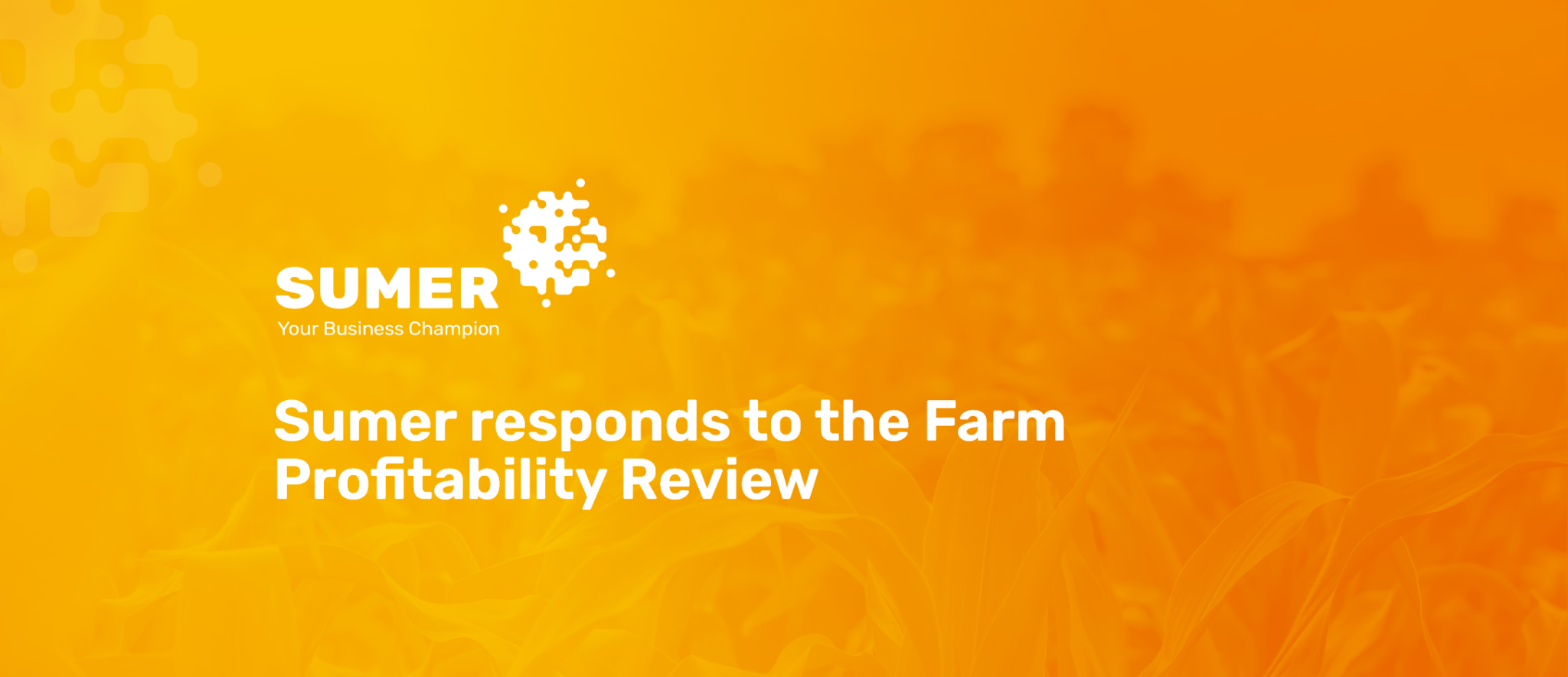 Farm Profitability Review: What It Means for UK Farmers | Sumer